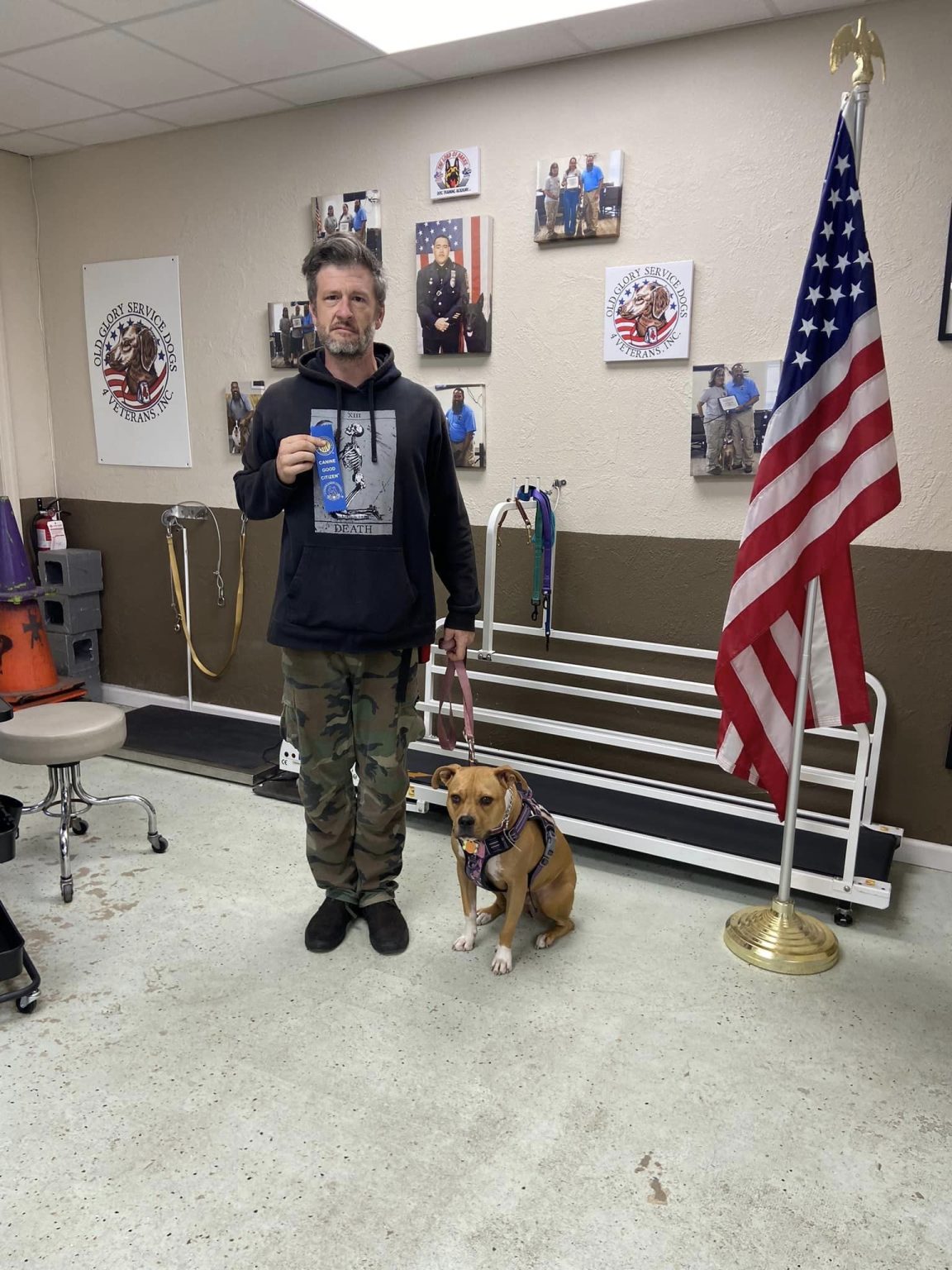 Images - Old Glory Service Dogs 4 Veterans